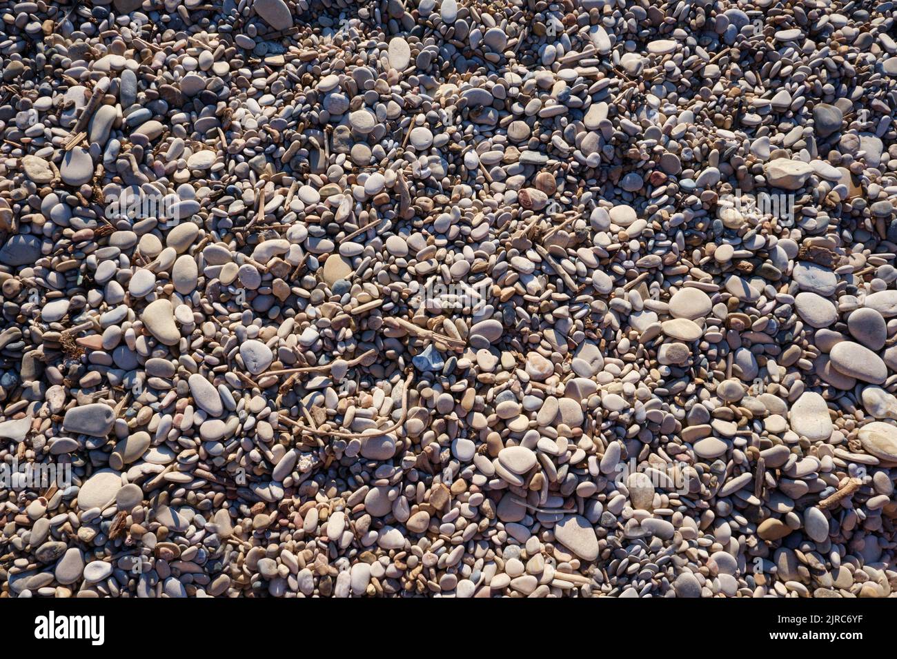 beach made of rounded pebbles and small pieces of wood Stock Photo - Alamy