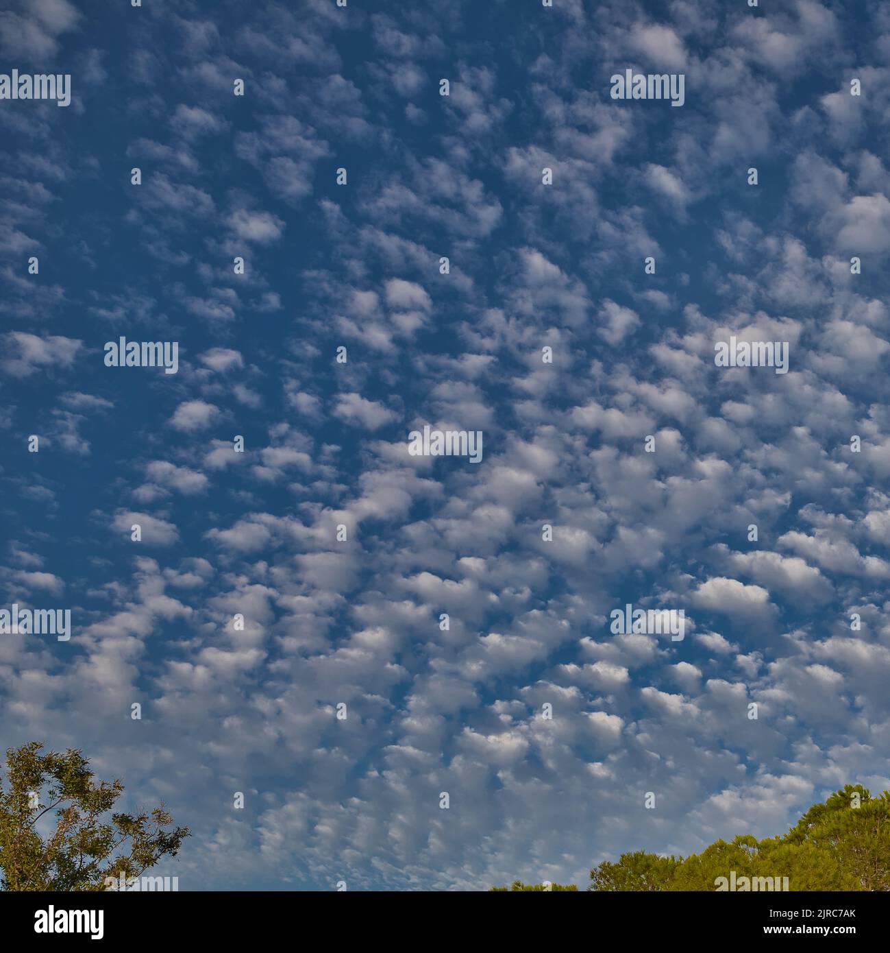 Sky And Clouds. Copy Space. Cobbled looking clouds high in a blue sky ...