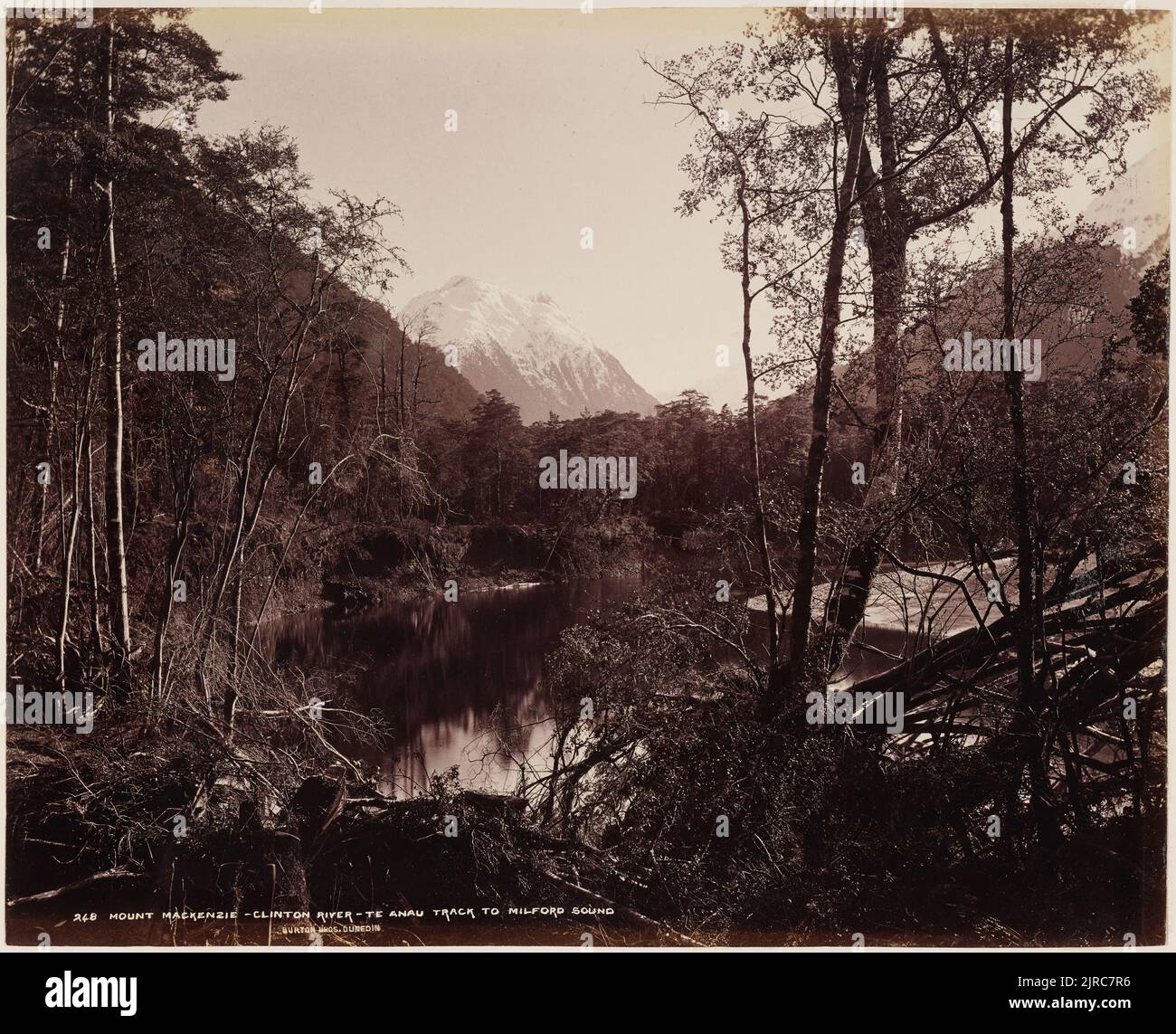 Mount Mackenzie - Clinton River - Te Anau track to Milford Sound, 1889 ...