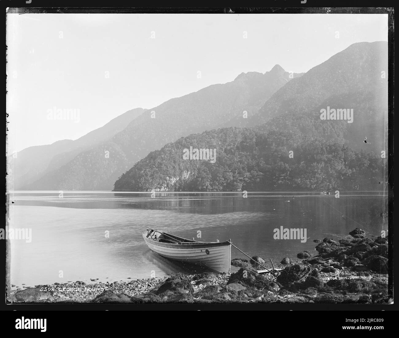 George Sound, 1893, Dunedin, by Burton Brothers, George Moodie Stock ...