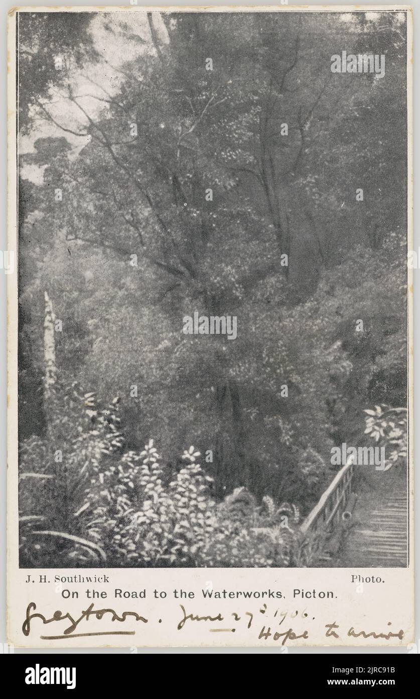 On the Road to the Waterworks, Picton, June 1906, Picton, by J H ...