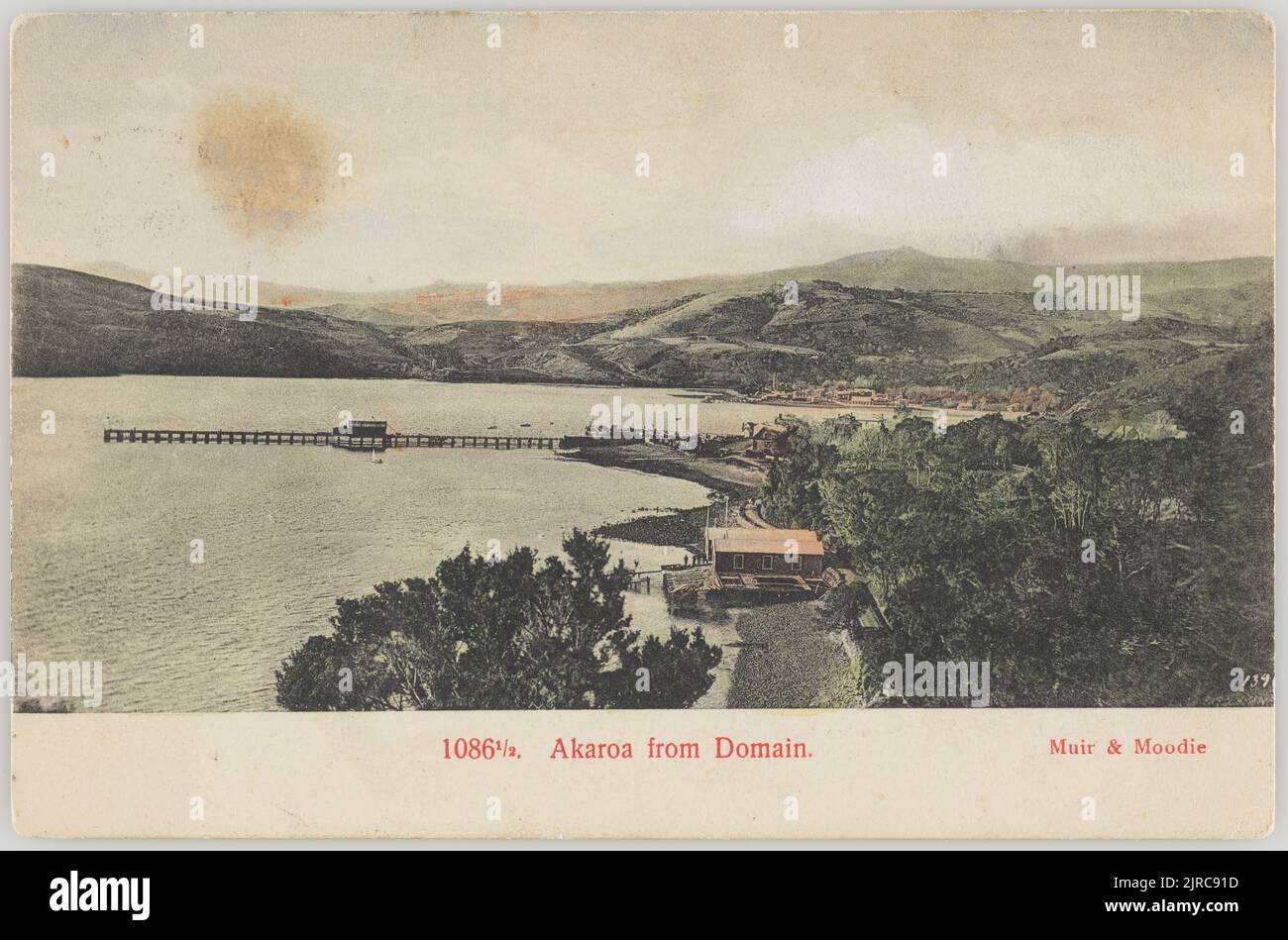 Akaroa from Domain, 1905, Akaroa, by Muir & Moodie Stock Photo - Alamy