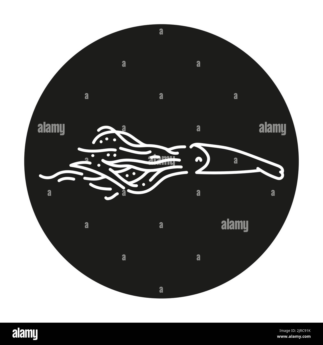 Squid color line illustration. Ocean fishes Stock Vector Image & Art ...