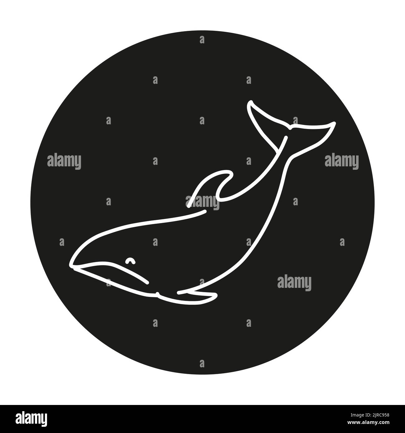 Dolphin color line illustration. Marine mammals Stock Vector Image ...