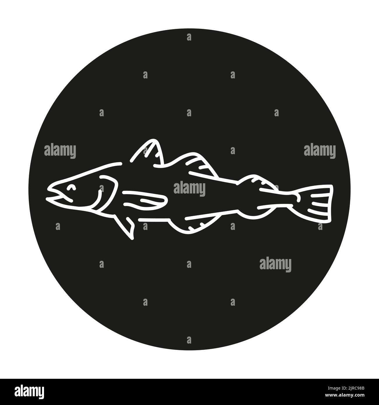 Pollock color line illustration. Ocean fishes Stock Vector Image & Art ...