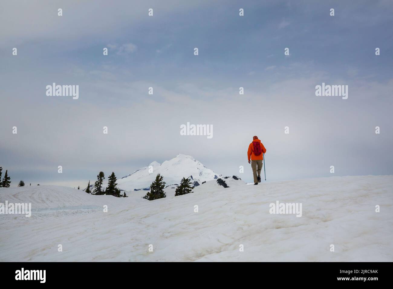 Mt. Baker recreation area, Washington, USA in early summer Stock Photo ...