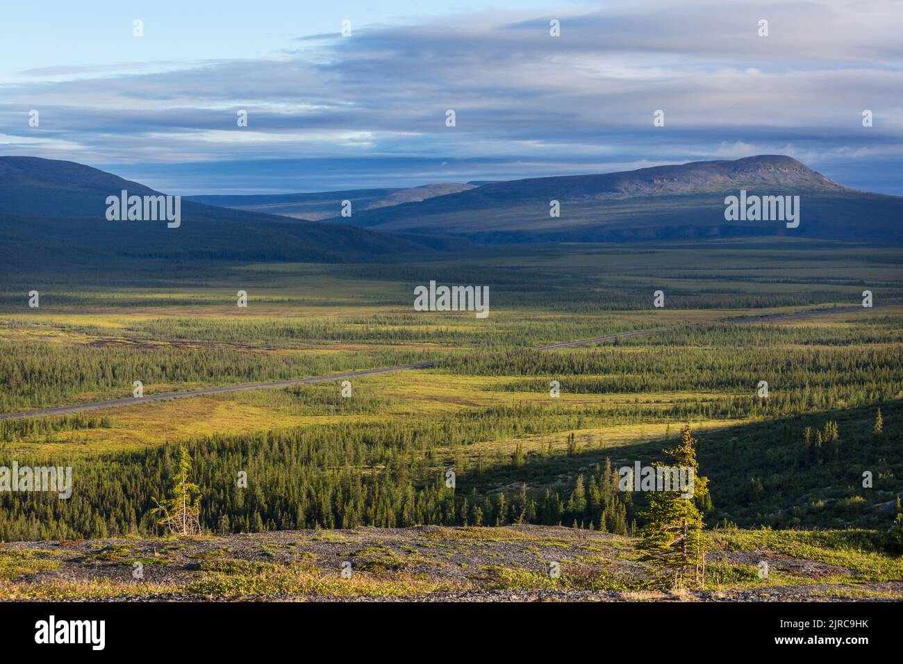 Tundra landscapes above Arctic circle Stock Photo - Alamy