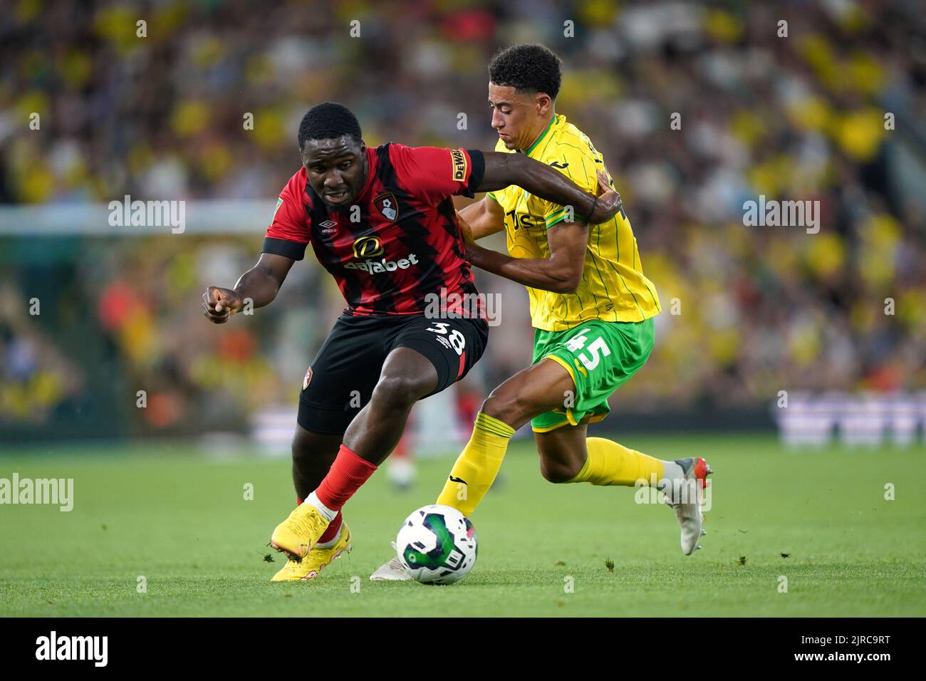 Bournemouth's Christian Saydee (left) and Norwich City's Jonathan ...