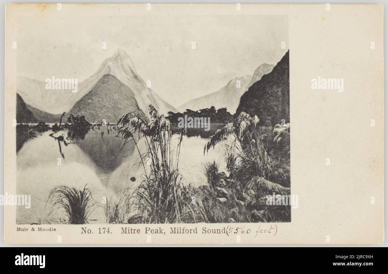 Mitre Peak, Milford Sound, 1904-1915, Milford Sound, by Muir & Moodie ...