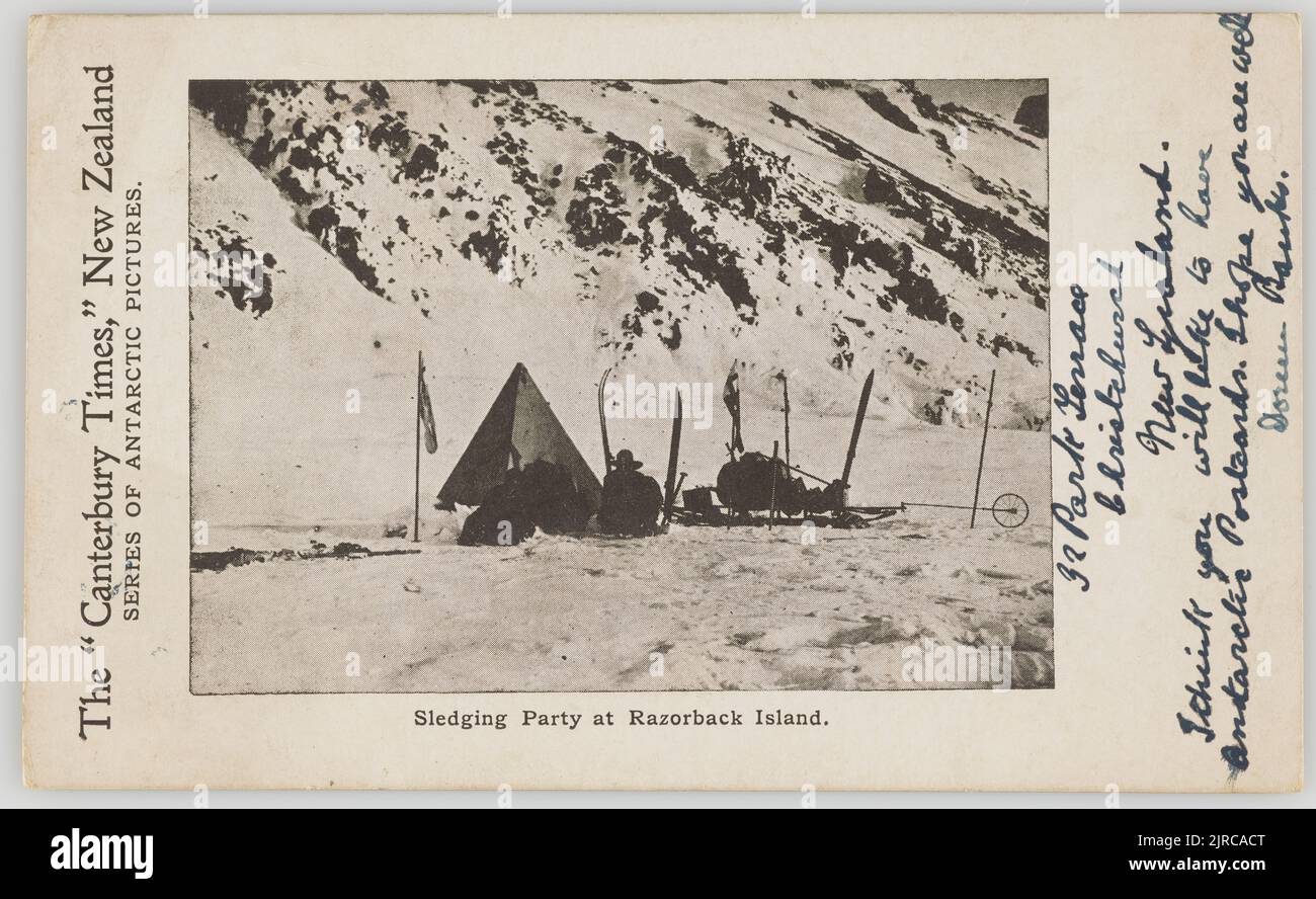 Razorback antarctica hi-res stock photography and images - Alamy