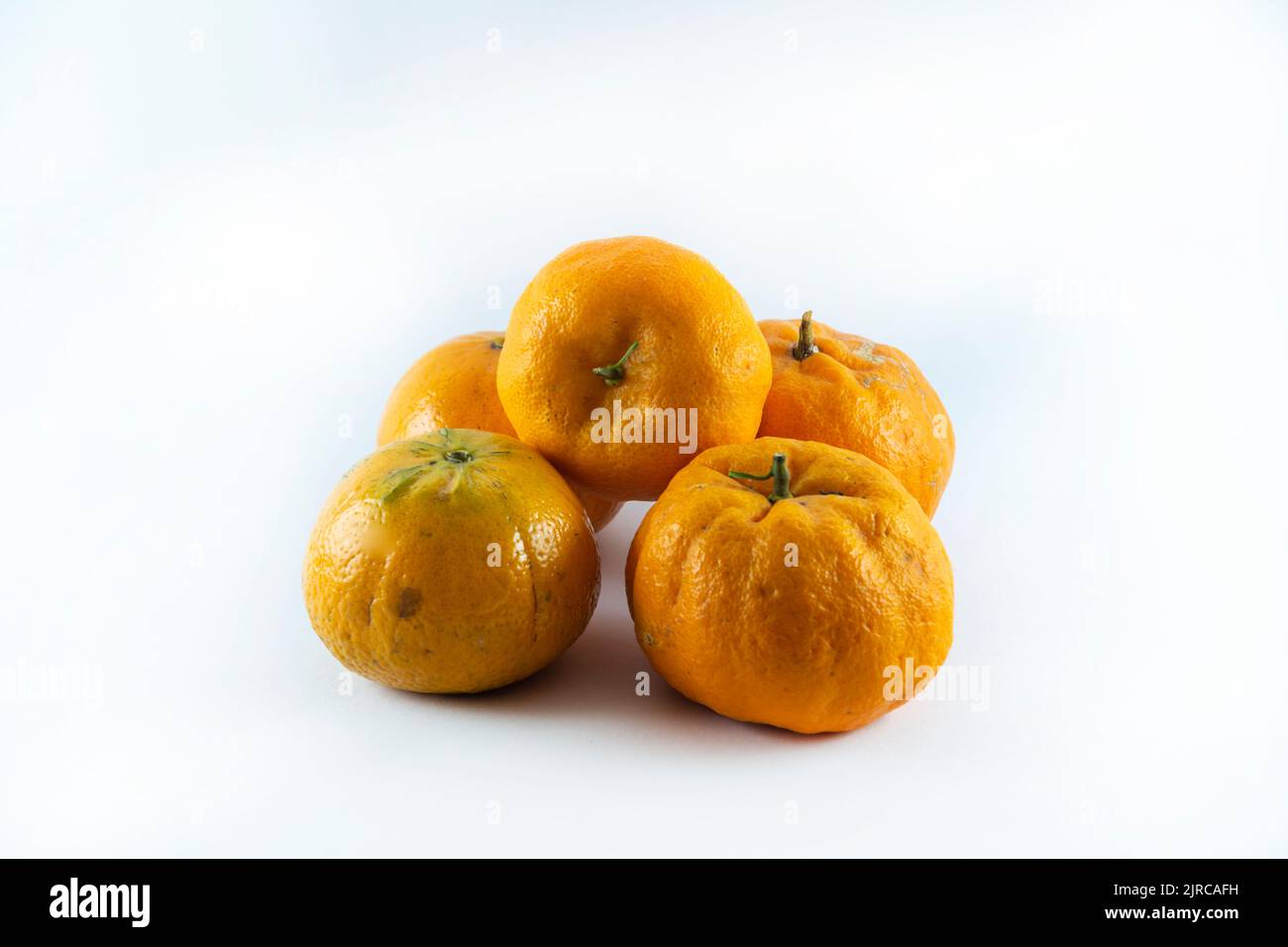 Surface covered with five ripe fresh juicy tangerines, composition ...