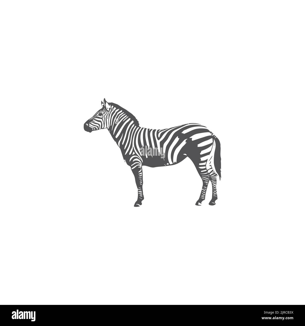 Zebra Logo Design Inspiration. Zebra logo on white background Stock ...