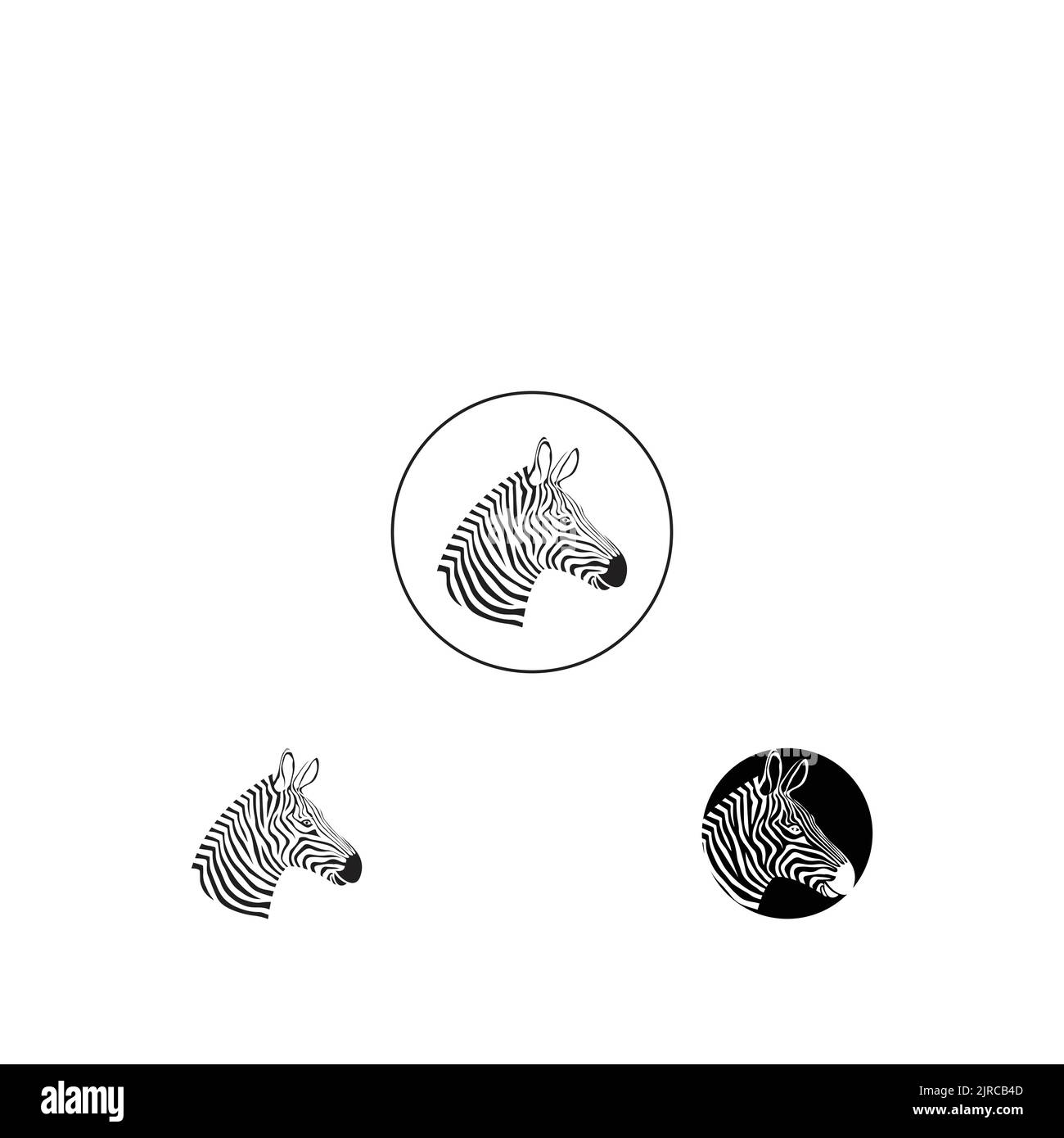 Zebra Logo Design Inspiration. Zebra logo on white background Stock ...