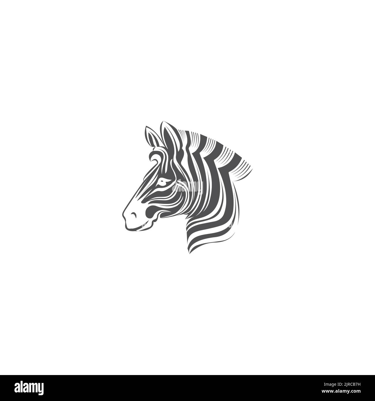 Zebra Logo Design Inspiration. Zebra logo on white background Stock ...