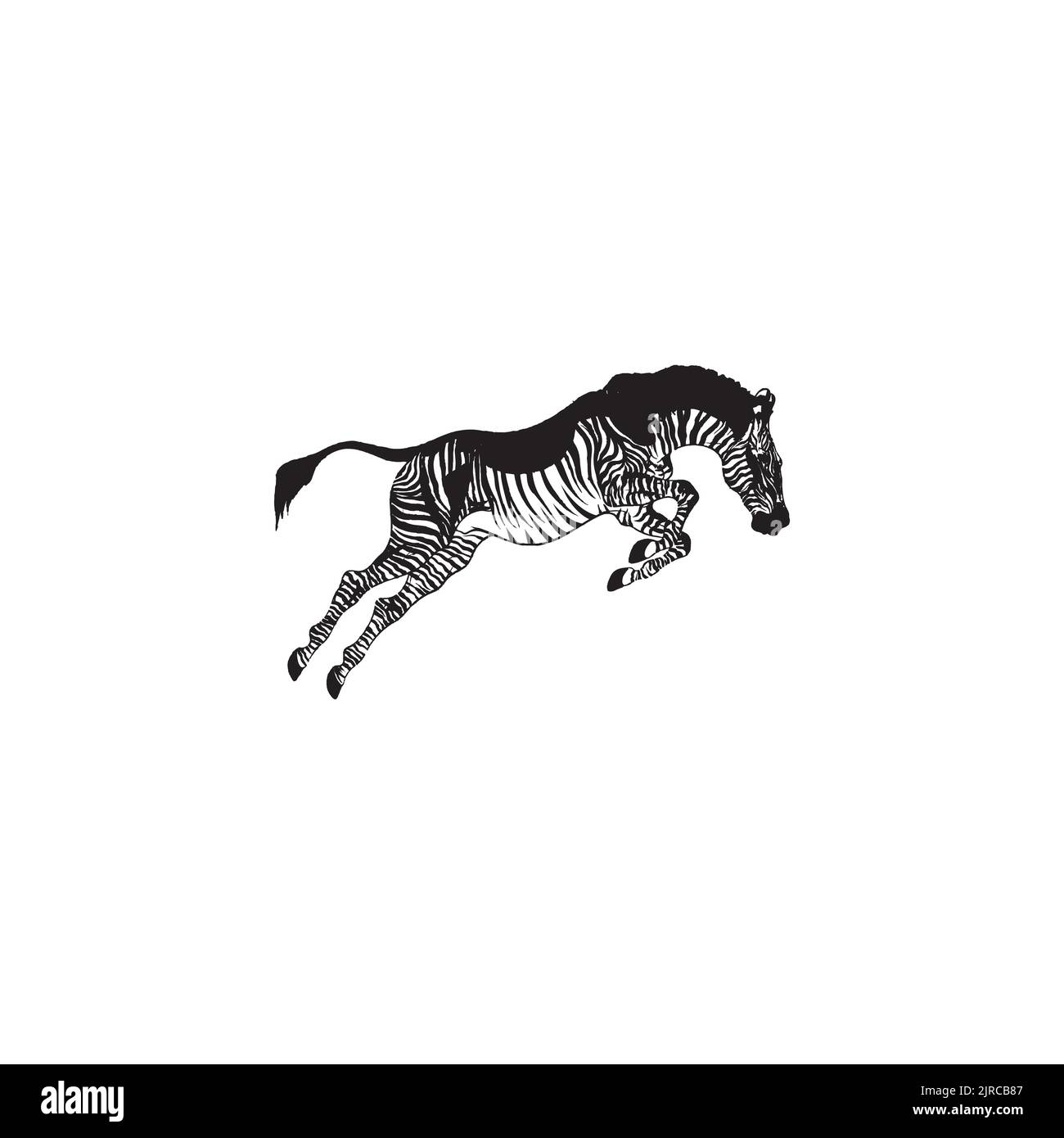 Zebra Logo Design Inspiration. Zebra logo on white background Stock ...