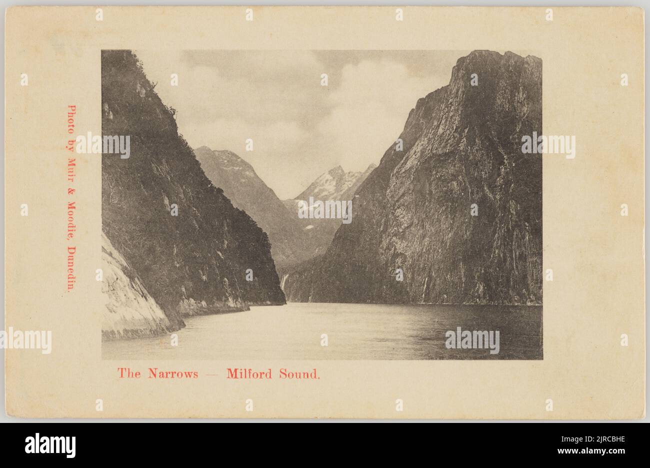 The Narrows, Milford Sound, 1900-1903, Milford Sound, by Muir & Moodie ...