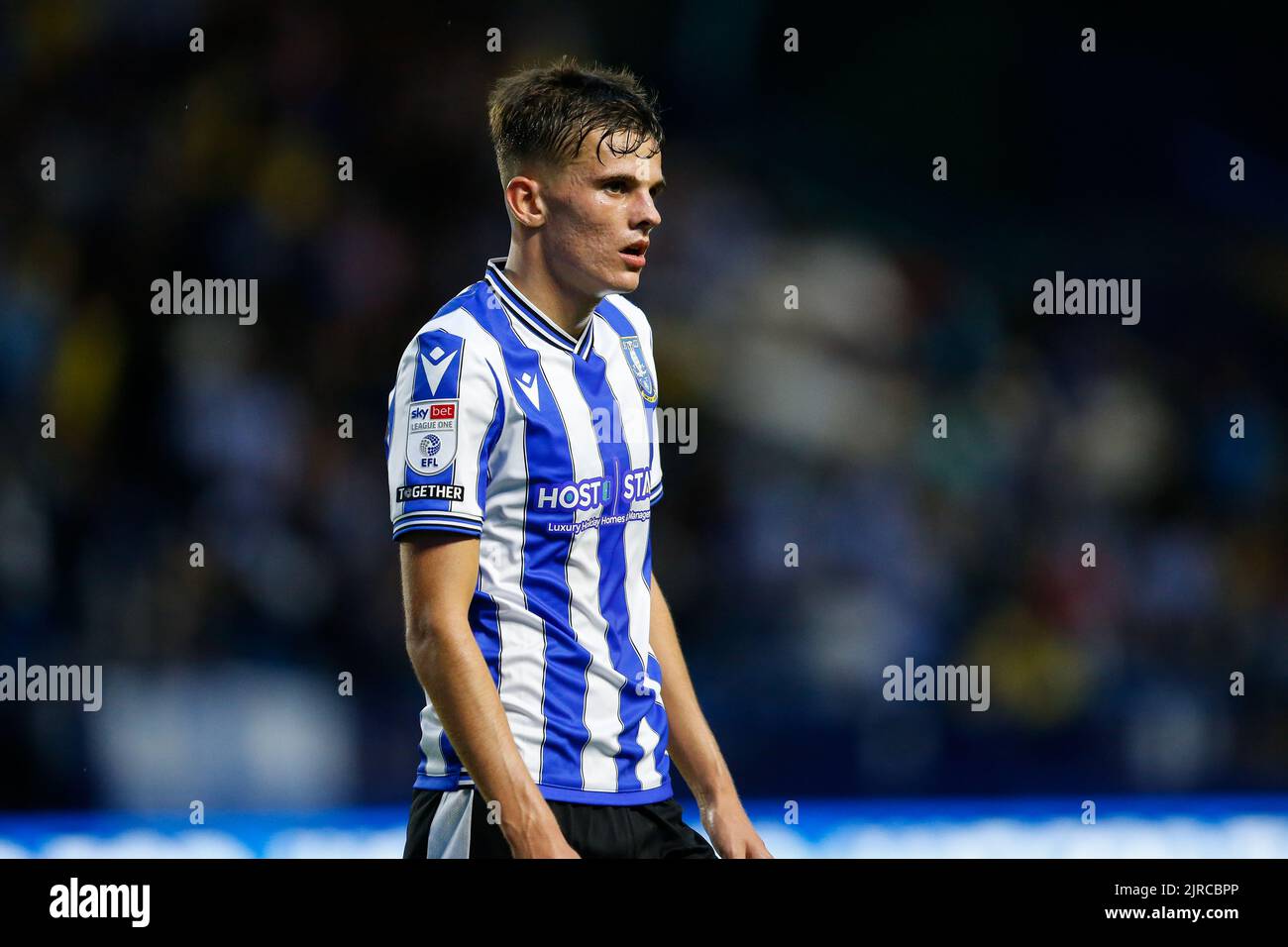 Jay glover hi-res stock photography and images - Alamy