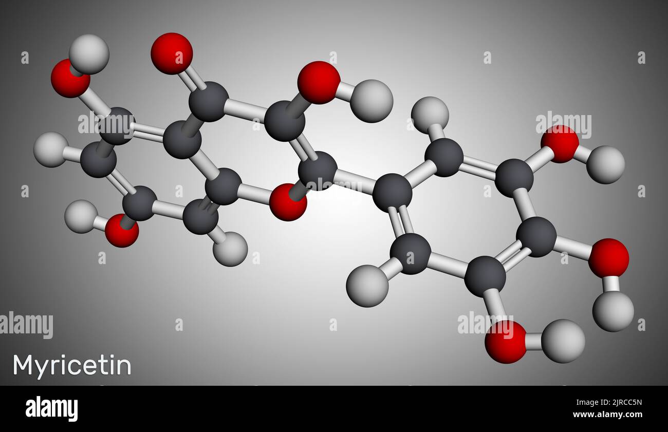 Myricetin molecule. It is natural product, flavonoid. Molecular model ...