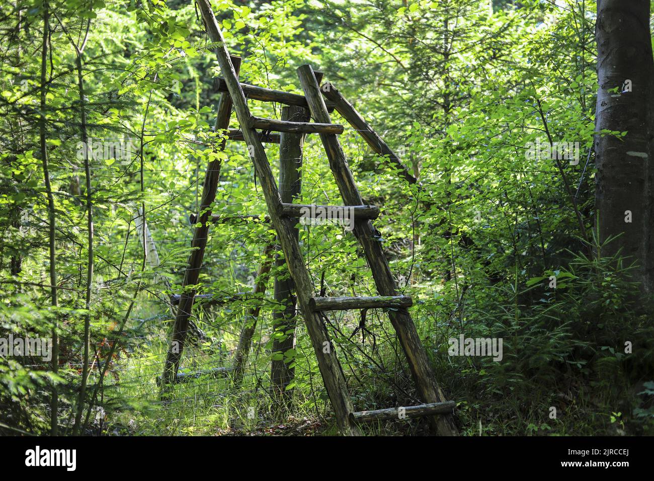 Ladder stile summer hi-res stock photography and images - Alamy