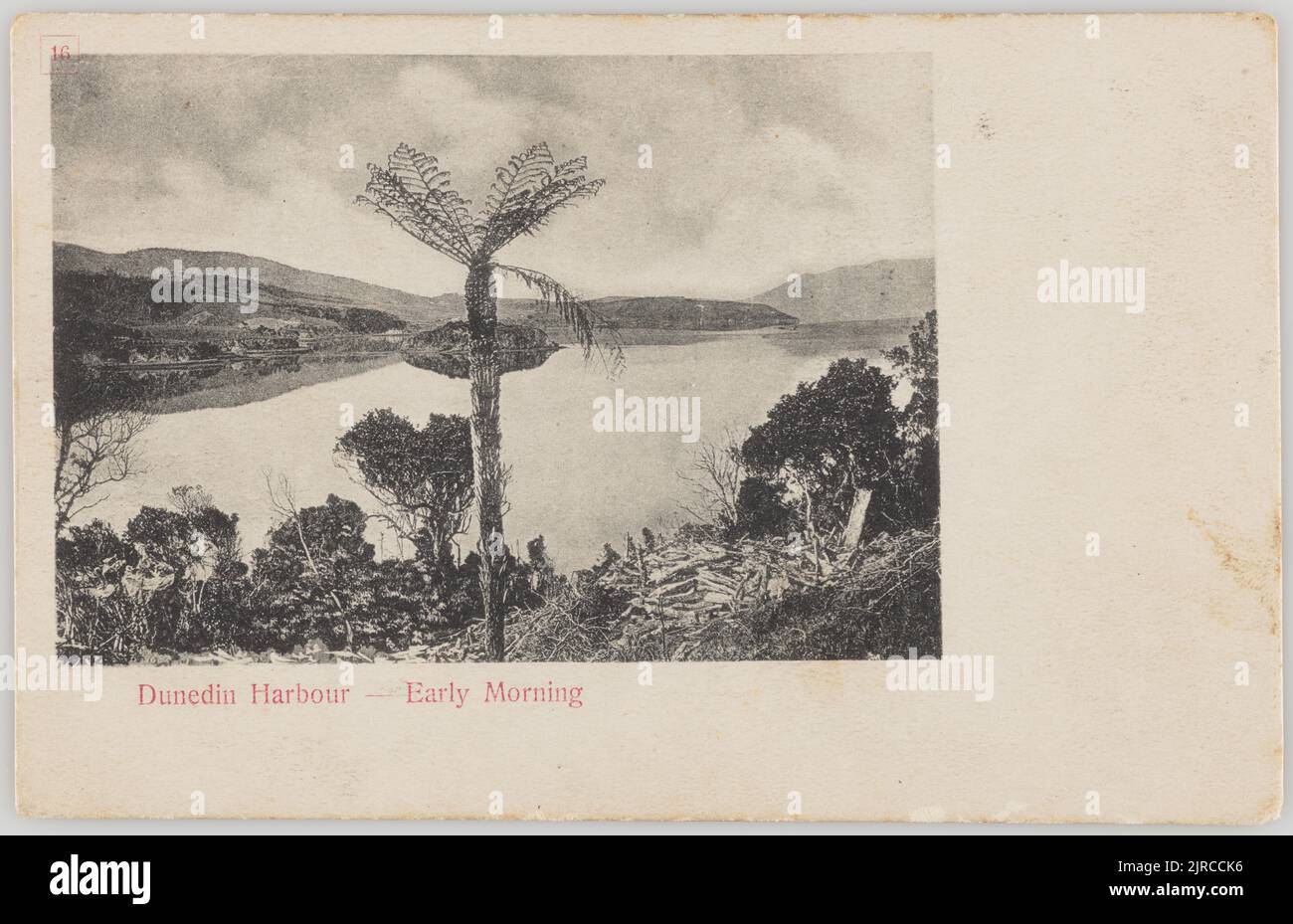 Early morning dunedin harbour hi-res stock photography and images - Alamy