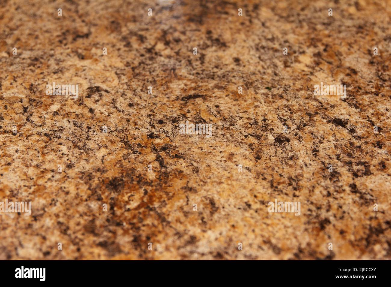 Trendy modern new table top for marble kitchen in brown beige tones ...