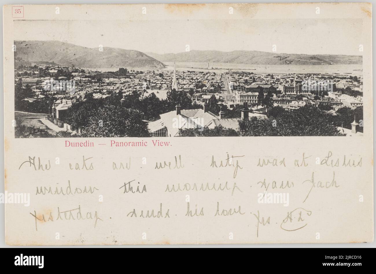 Dunedin, Panoramic view, 1900-1903, Dunedin, by Muir & Moodie Stock ...