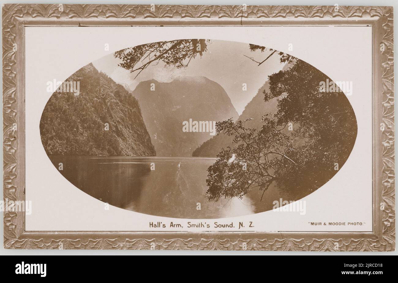 Hall's Arm, Smith's Sound, New Zealand, 1904-1915, New Zealand, by Muir ...