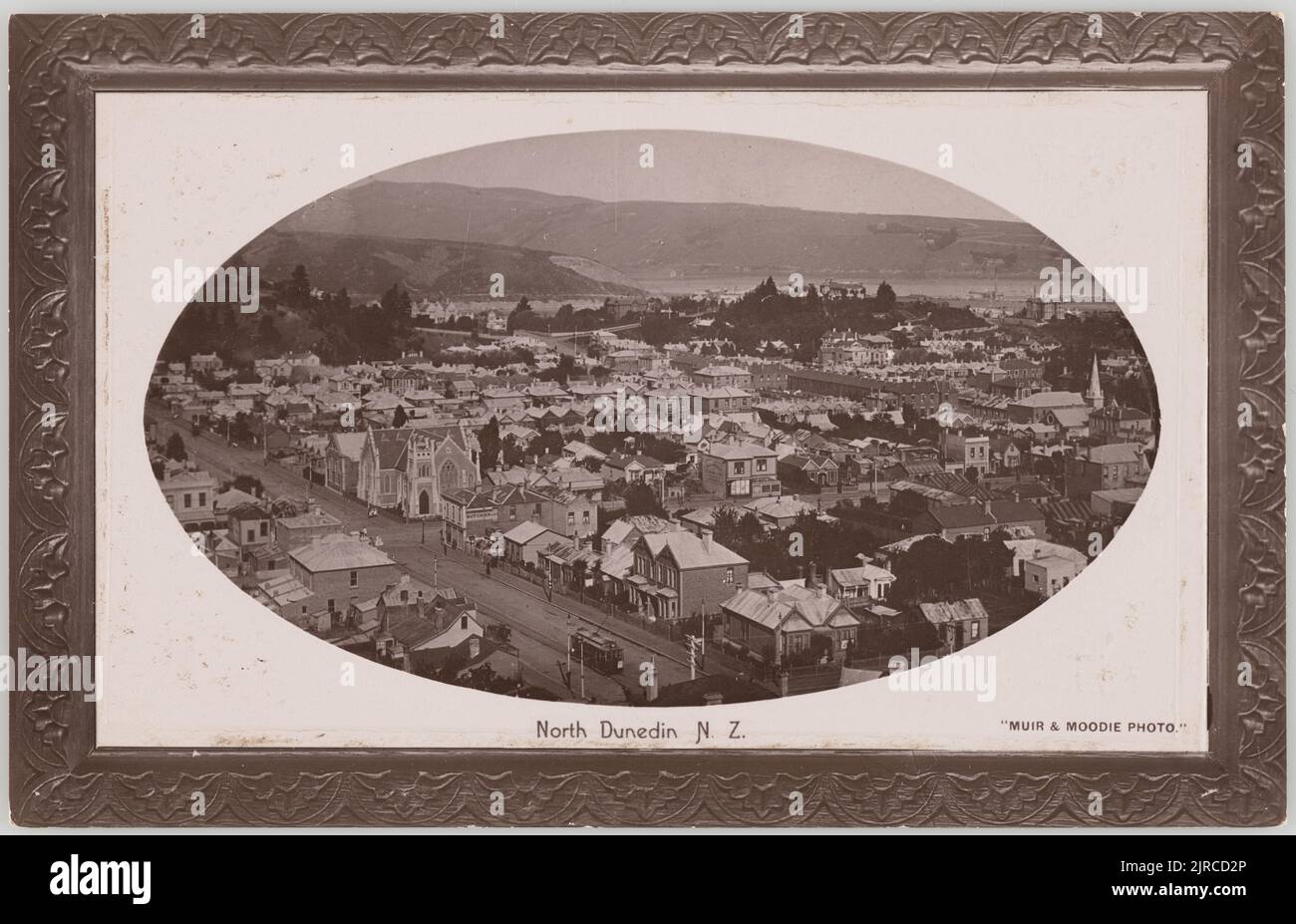 North Dunedin, New Zealand, 1910, Dunedin, by Muir & Moodie Stock Photo ...