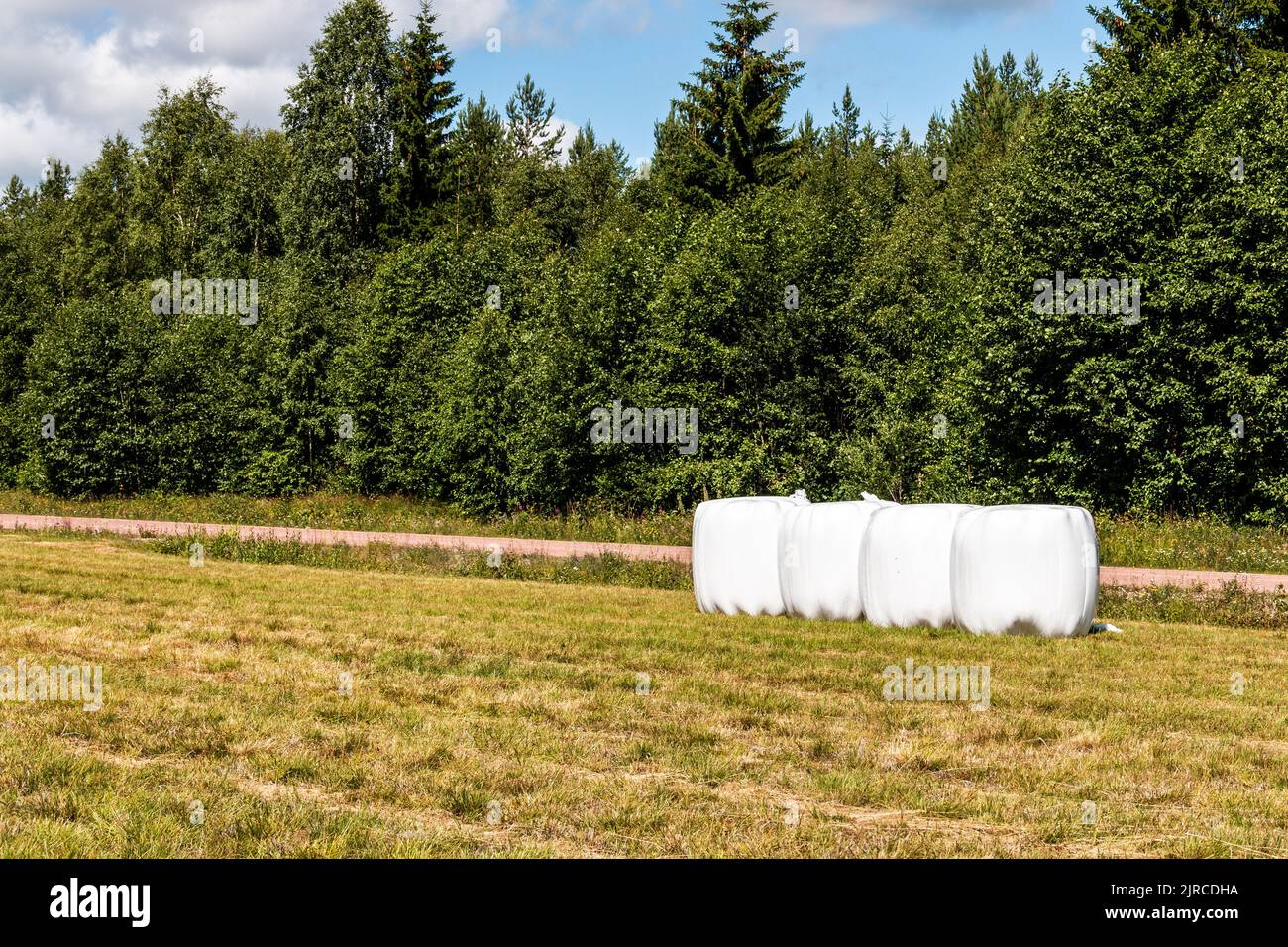 The bales of silage covered in white agricultural stretch films on ...