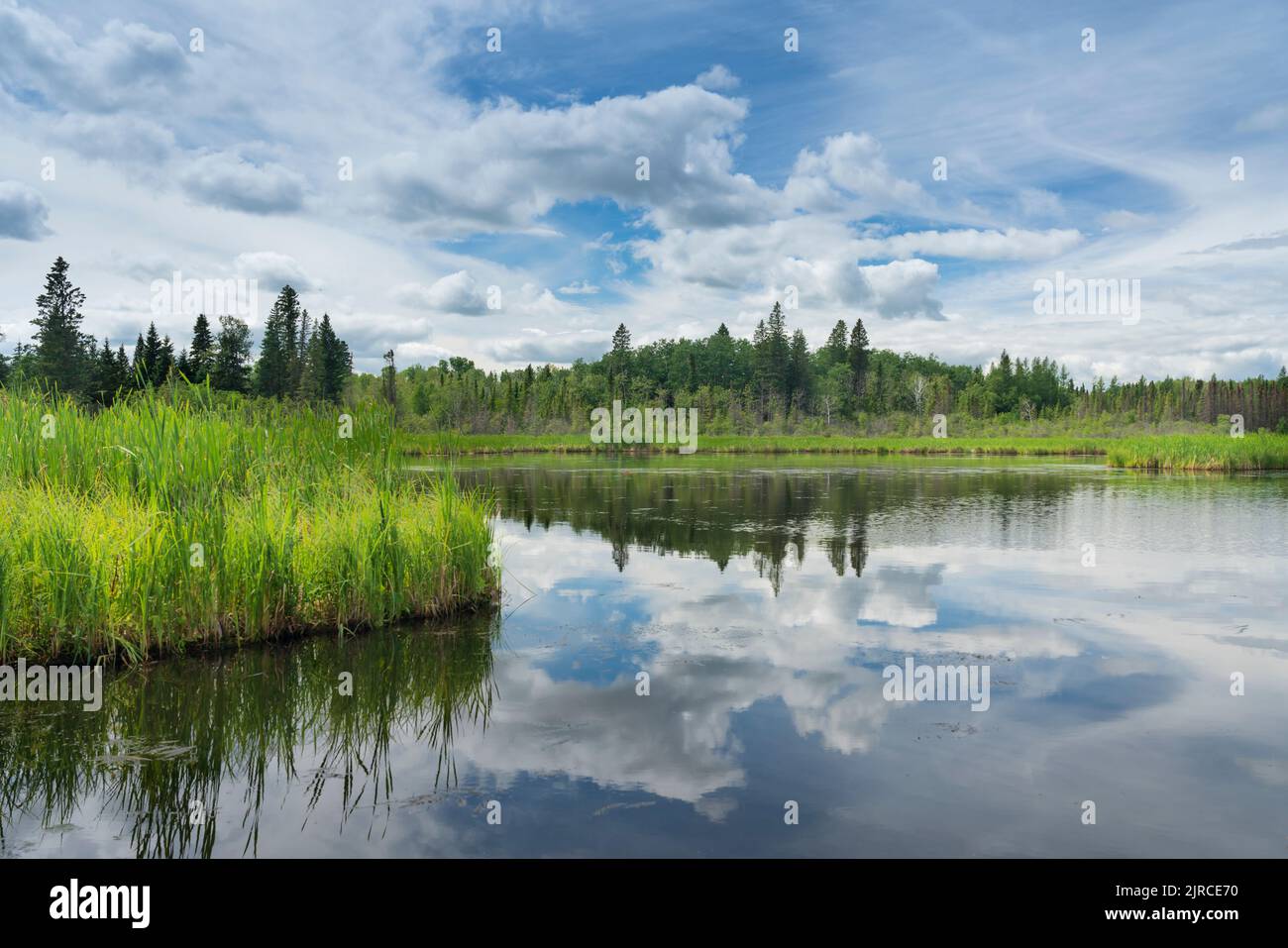 The Ominnik Marsh wetlands in Riding Mountain National Park, Manitoba ...