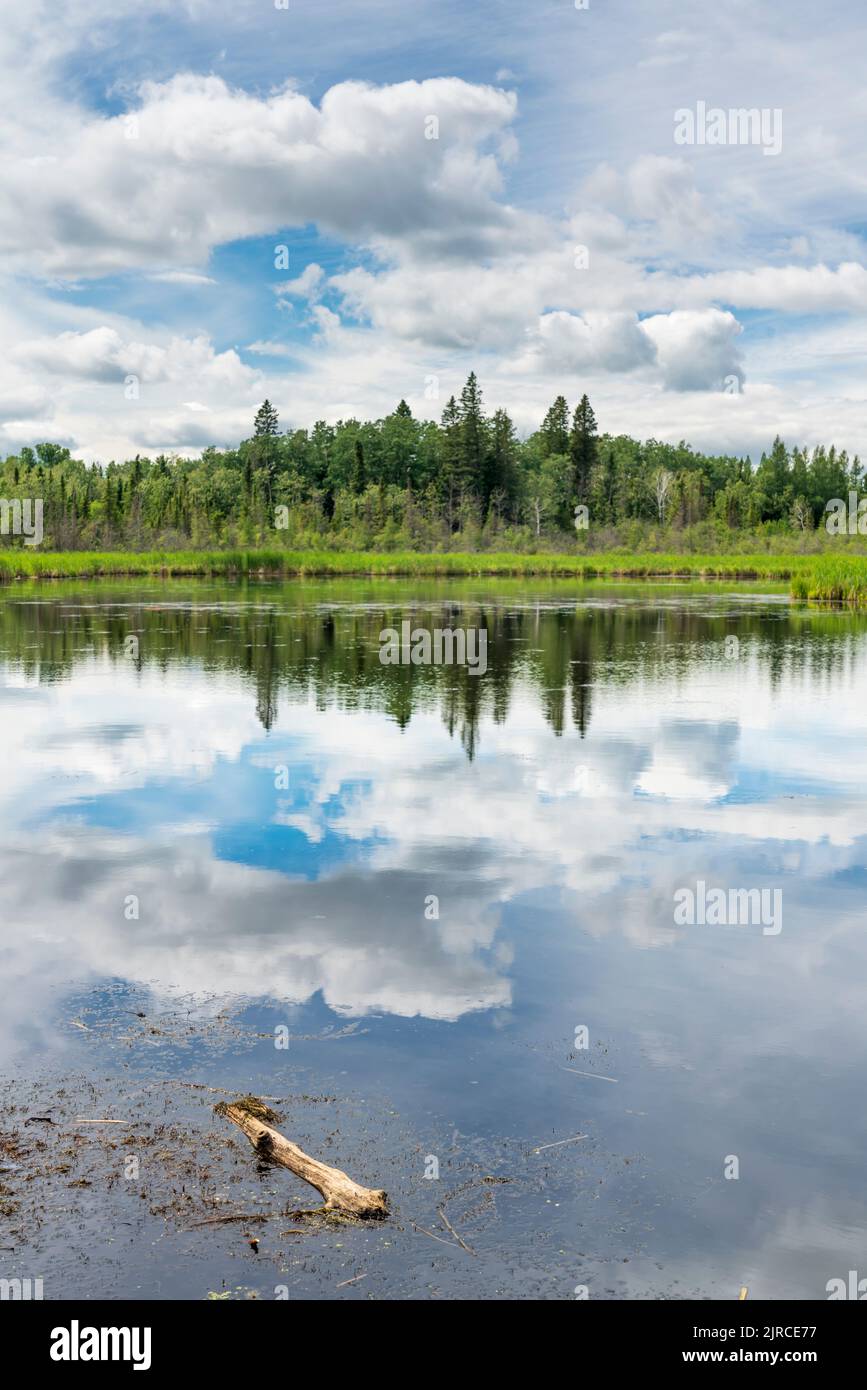 The Ominnik Marsh wetlands in Riding Mountain National Park, Manitoba ...