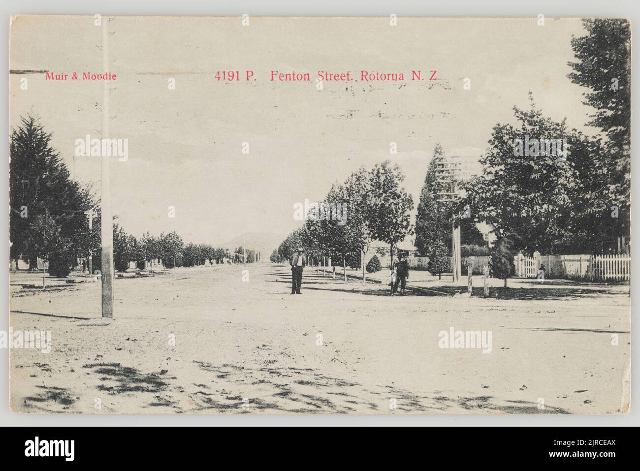 Fenton Street, Rotorua, 1904-1915, Rotorua, by Muir & Moodie Stock ...