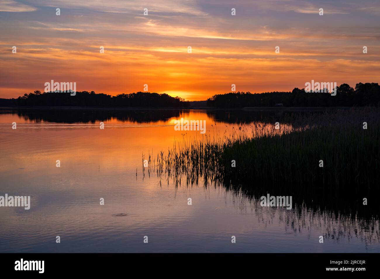 lake in spring at sunset Stock Photo - Alamy