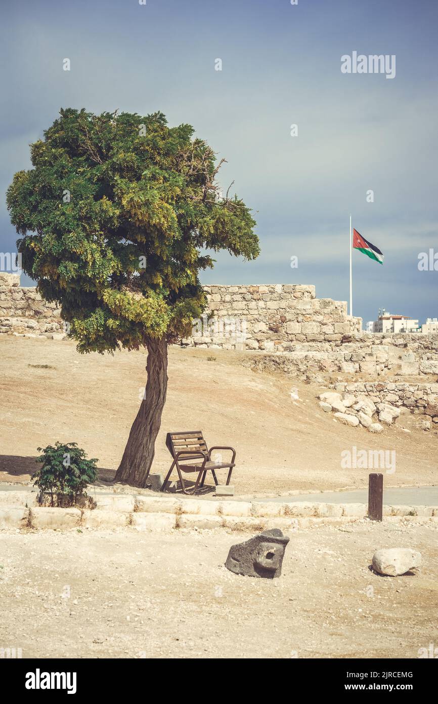 A bench under tree in Amman Citadel on top of Jebel Al Qala'a, Amman ...