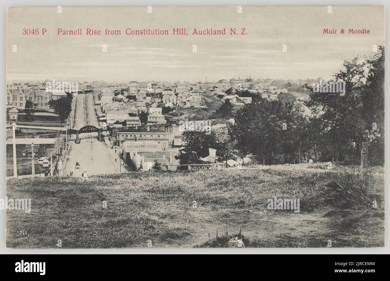 Parnell Rise from Constitution Hill, Auckland, New Zealand, circa 1908 ...