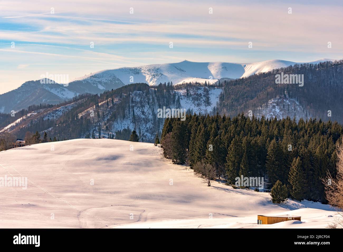 A beautiful view of snowy field with trees and Velka Fatra mountain in ...