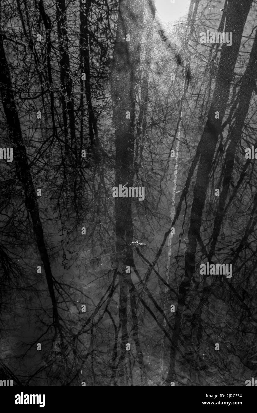 Spring water Black and White Stock Photos & Images - Alamy