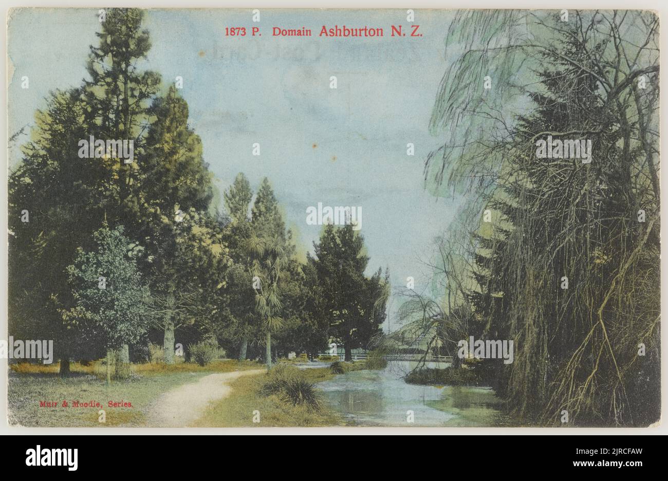 Domain, Ashburton, New Zealand, 1906, Ashburton, by Muir & Moodie Stock ...