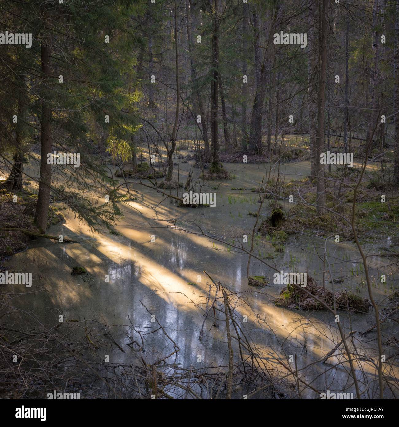 Poland spring water hi-res stock photography and images - Alamy