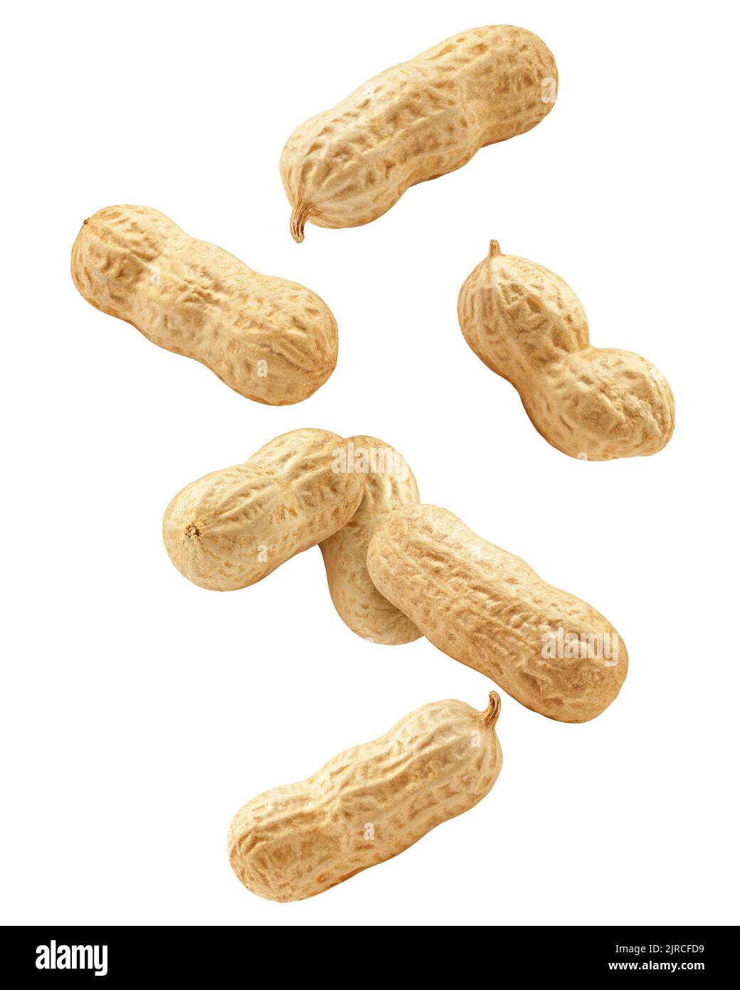 Falling peanut isolated on white background, clipping path, full depth ...