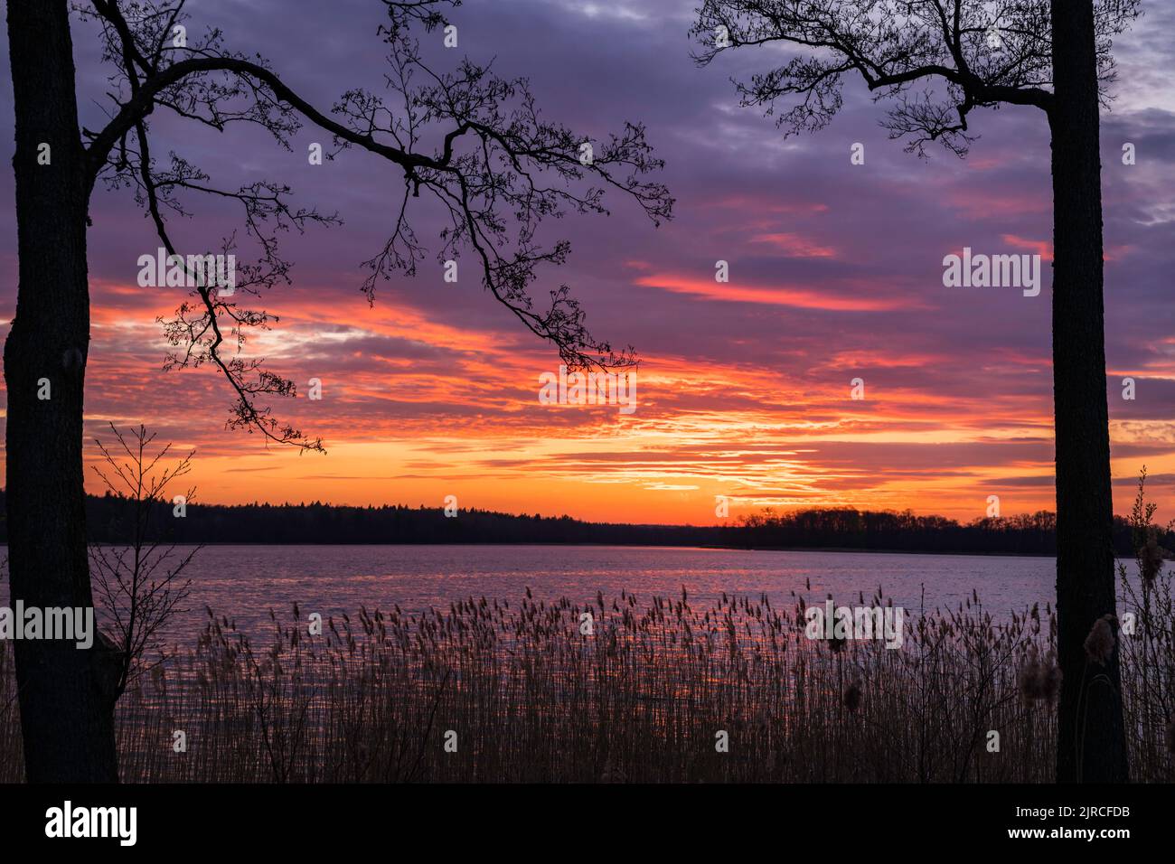 lake in spring at sunset Stock Photo - Alamy