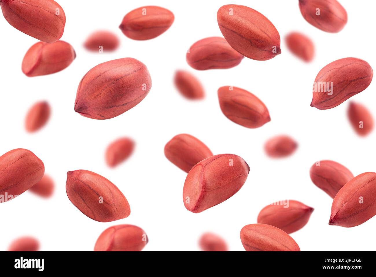Falling peanut isolated on white background, selective focus Stock ...