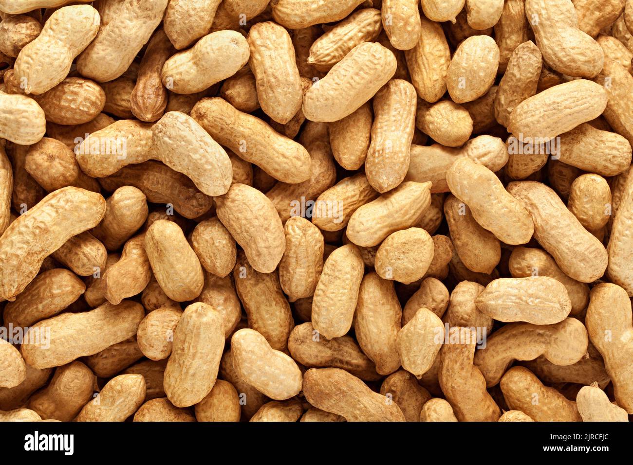 peanut background, full depth of field Stock Photo - Alamy