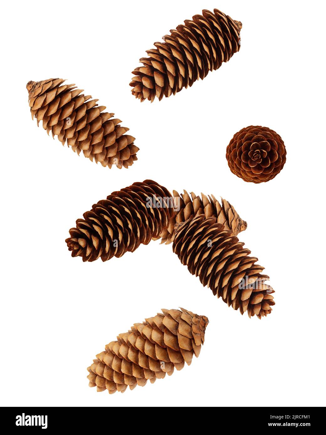 Falling Pine cone isolated on white background, clipping path, full ...