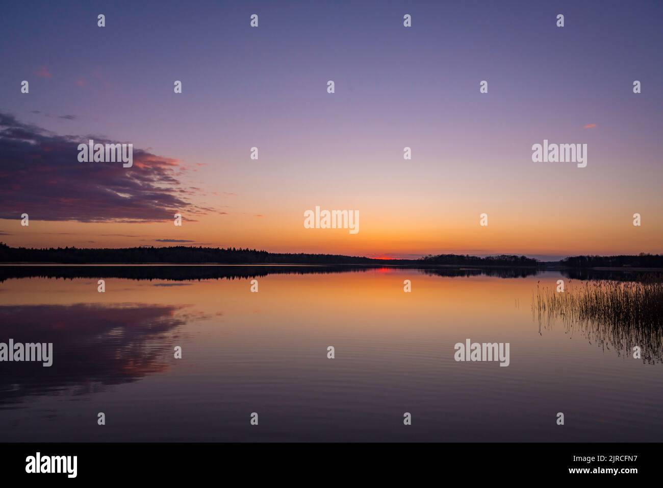 lake in spring at sunset Stock Photo - Alamy
