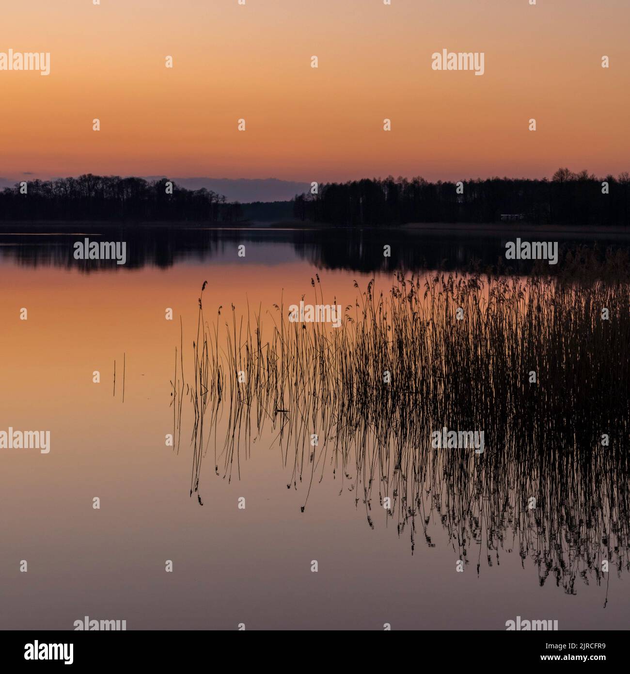 lake in spring at sunset Stock Photo - Alamy