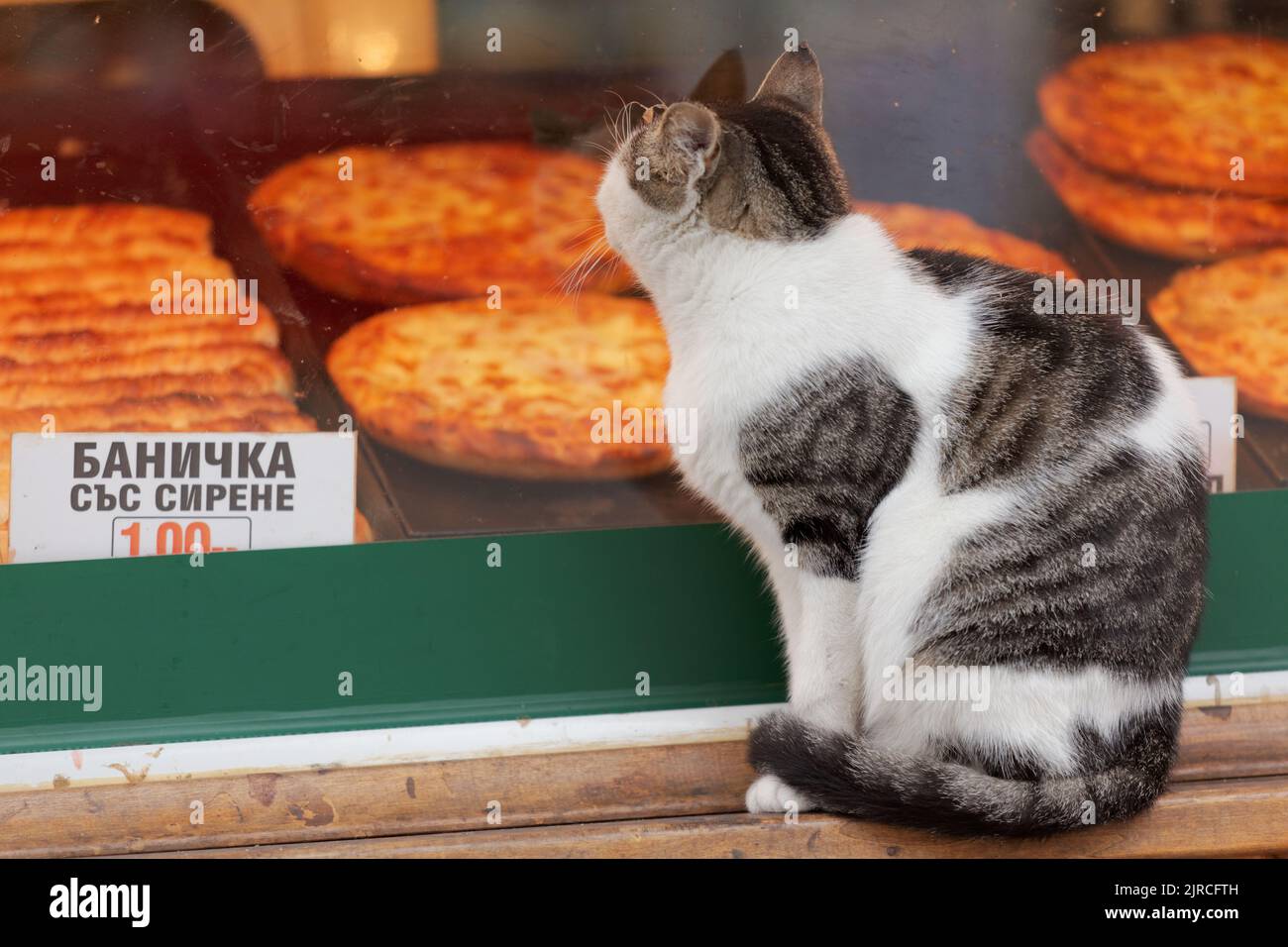 Banichka hi-res stock photography and images - Alamy