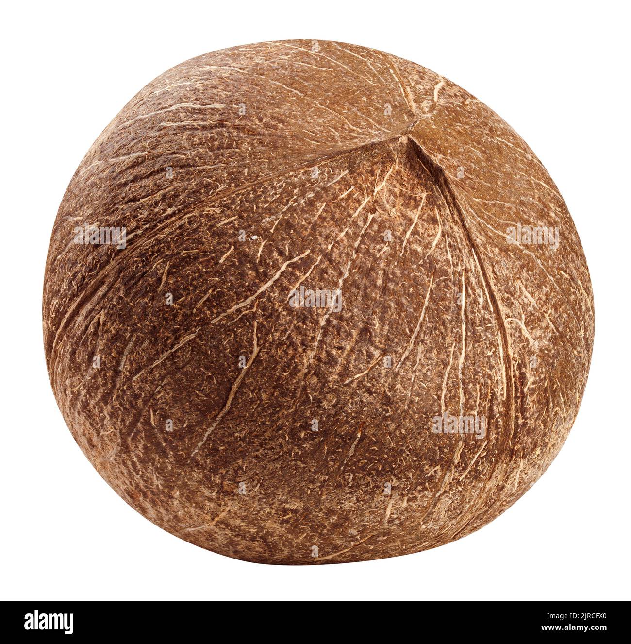 coconut whole, isolated on white background, clipping path, full depth ...