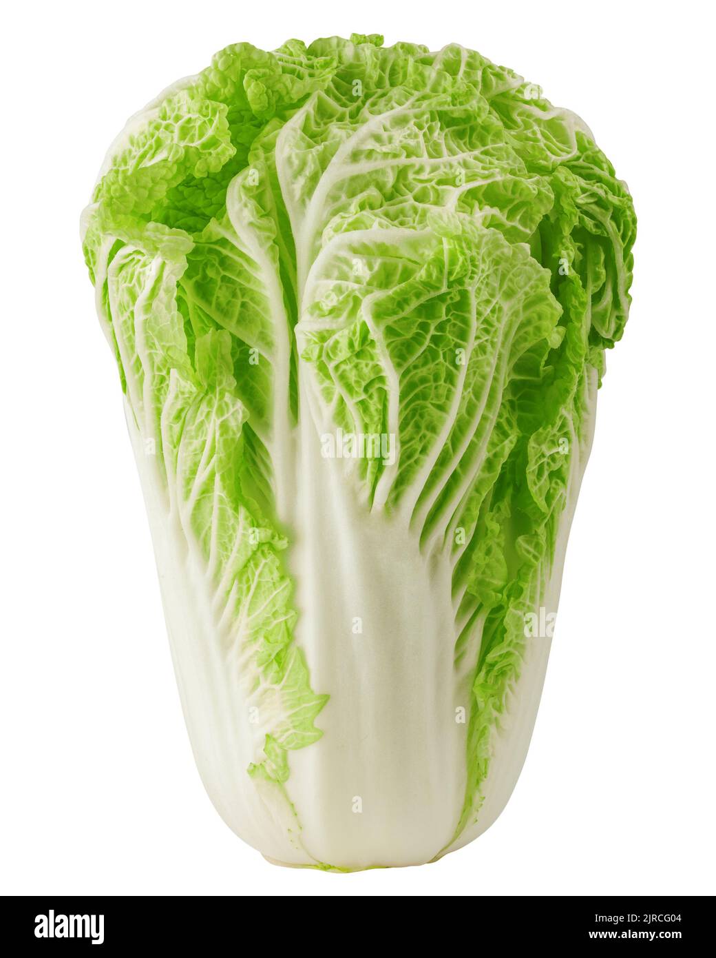 chinese cabbage, isolated on white background, clipping path, full ...