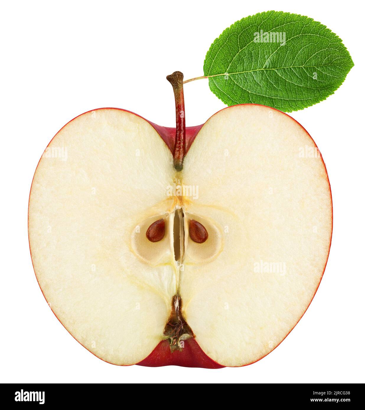 Red apple slice isolated on white background, clipping path, full depth ...
